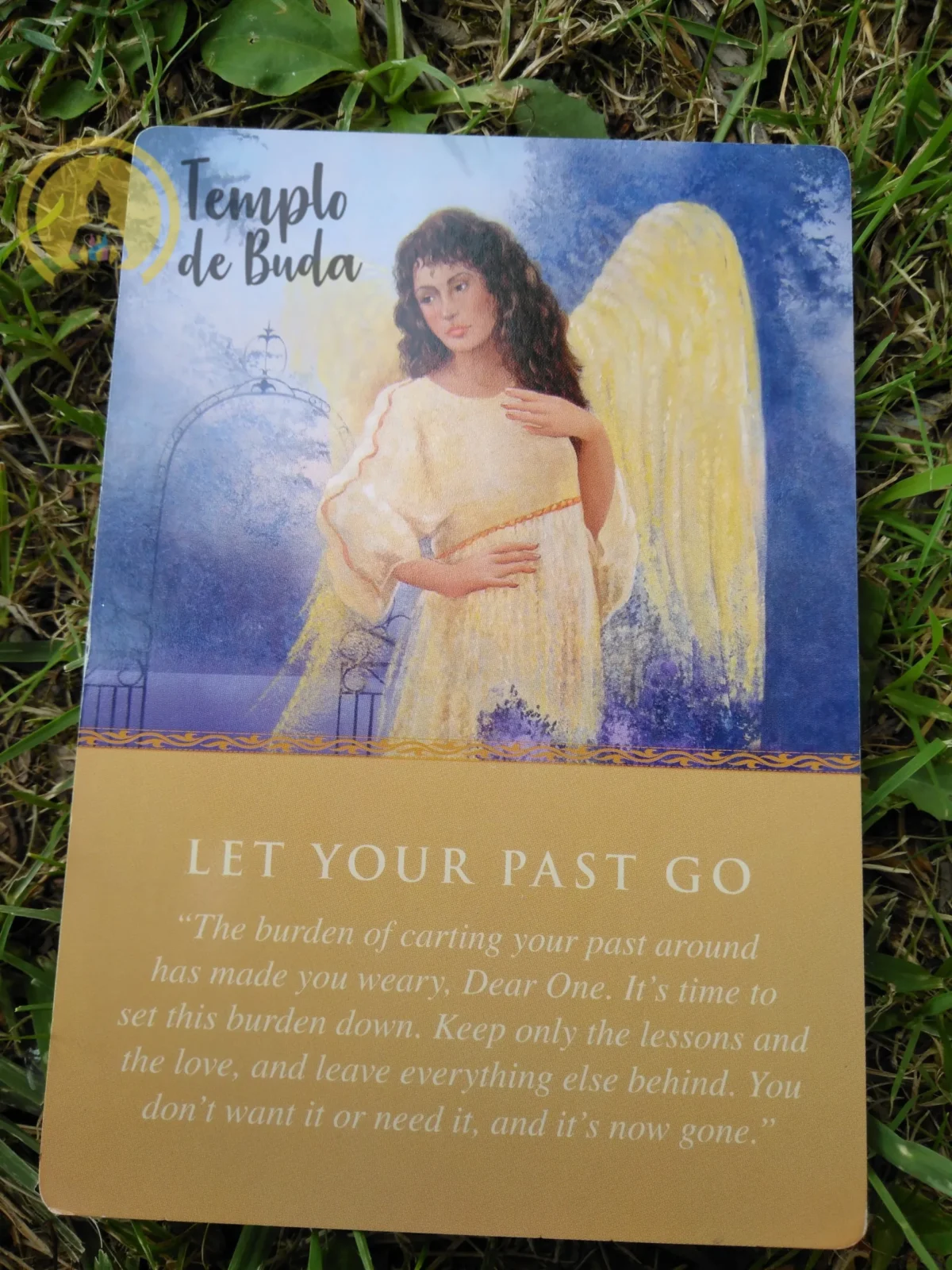 Daily Angel Advice Oracle by Doreen Virtue in English - Temple of Buddha