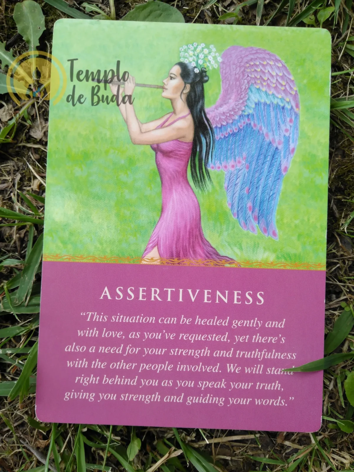 Daily Angel Advice Oracle by Doreen Virtue in English - Temple of Buddha