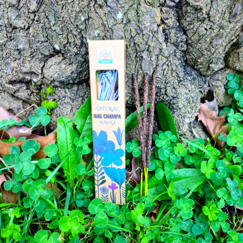 Namaste India Nag Champa incense - Buddha Temple